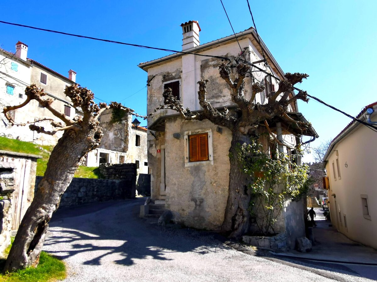 Kras Archives - Vandraj