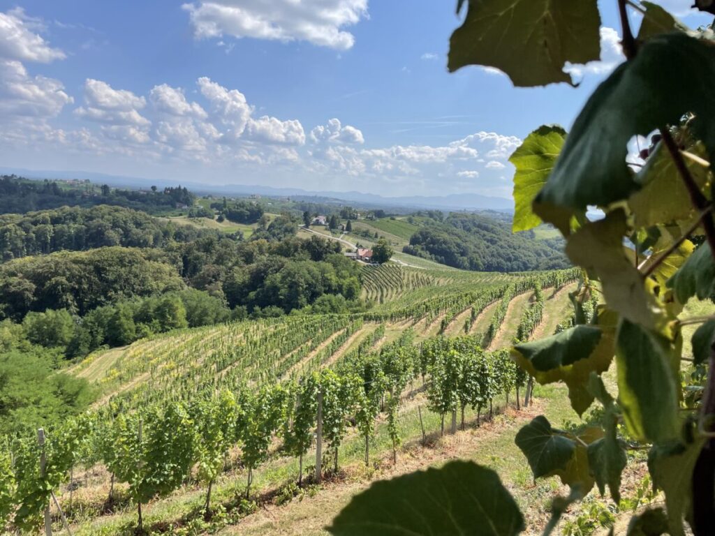 Ideja za izlet: Prlekija in 20. tradicionalni praznik buč - Vandraj